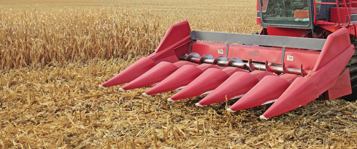 GVL Poly Corn Snouts – May Wes