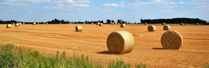 Shop Tools – May Wes